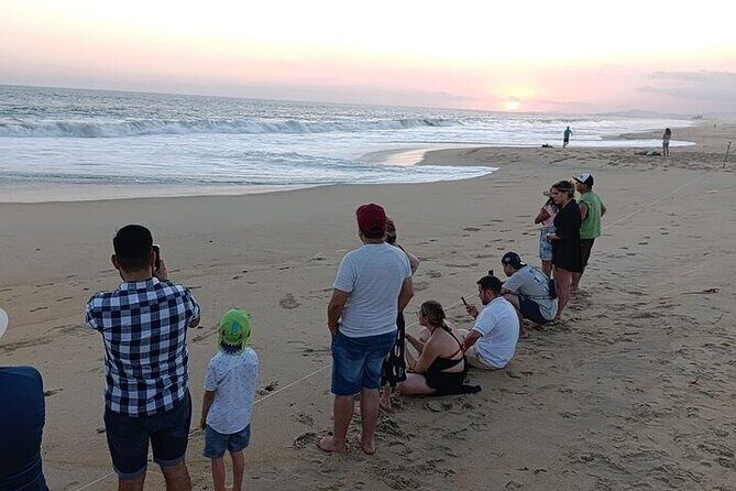 Turtle Release at Escobilla Beach - FAQ