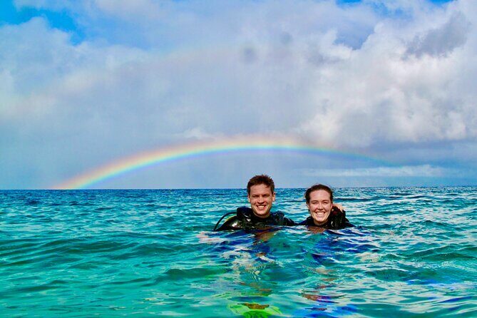 Turtle & Shark Scuba Dive in Lahaina: Certified - Introduction