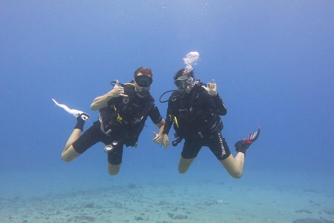 Turtle & Shark Scuba Dive in Lahaina: Certified - Key Points
