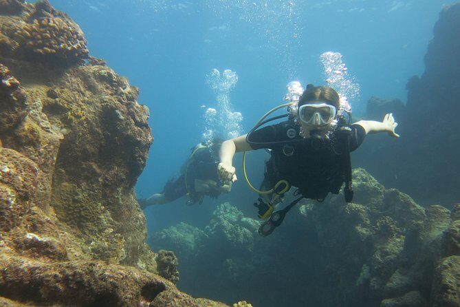 Turtle & Shark Scuba Dive in Lahaina: Certified - Authentic Experiences from Guest Reviews