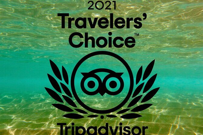 Turtle & Shark Scuba Dive in Lahaina: Certified - The Sum Up
