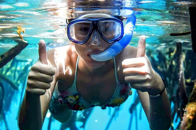 Turtle Sightseeing at Akumal & Underground Caves Tour - Who Should Consider This Tour?
