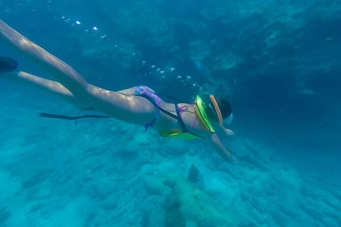 Turtle Snorkel Sail on Buck Island from Frenchman's Reef - A Closer Look at the Itinerary