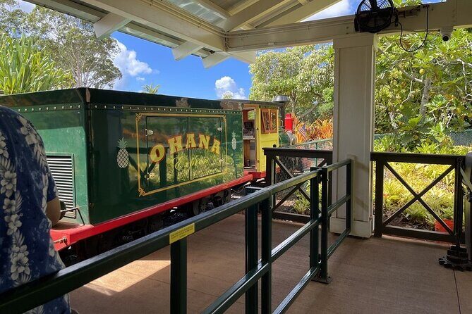 Turtle Snorkeling and Dole Plantation Guided Tour In Oahu - Who Is This Tour Best For?