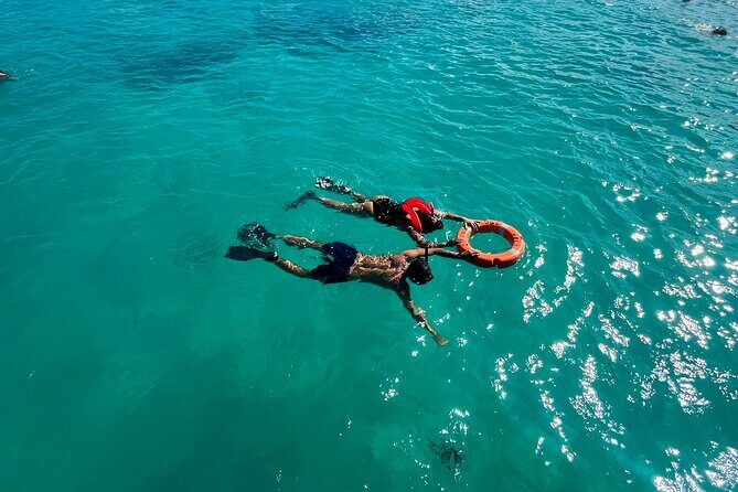 Turtle Spotting Snorkel Malmok And Tres Trapi - Final Thoughts