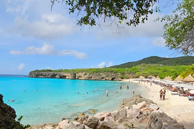 Turtle Swim at TurtleBay visit Flamingos & KnipBeach Safari Truck - Frequently Asked Questions