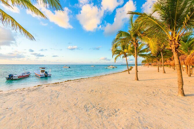 Turtle Swim, Lunch and Underground Cenote Private Tour - Final Thoughts