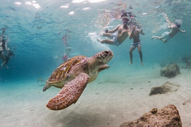 Turtle Swim, Shete Boka & Kenepa Beach Adventure in Curaçao - A Closer Look at the Itinerary