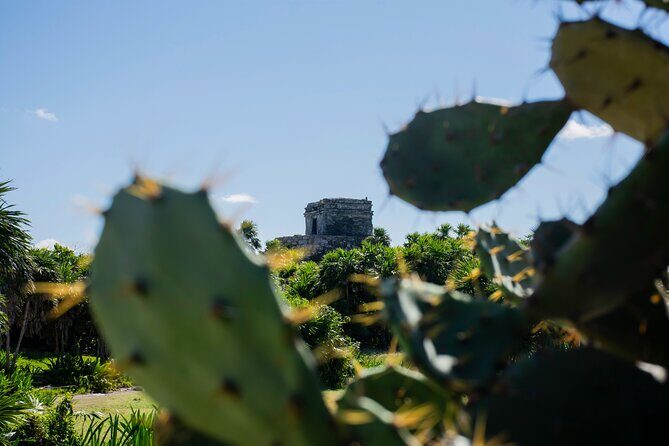 Turtle Swim & Tulum Ruins! Round Transportation from Playa del Carmen - Final Thoughts: Is This Tour for You?