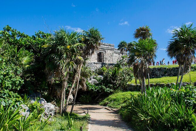 Turtle Swim & Tulum Ruins! Round Transportation from Playa del Carmen - FAQ