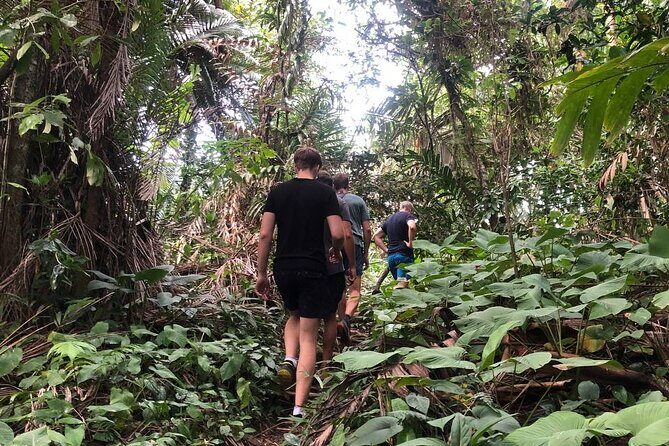 Turtle Tales of Pulau Banyak - The Value and Price