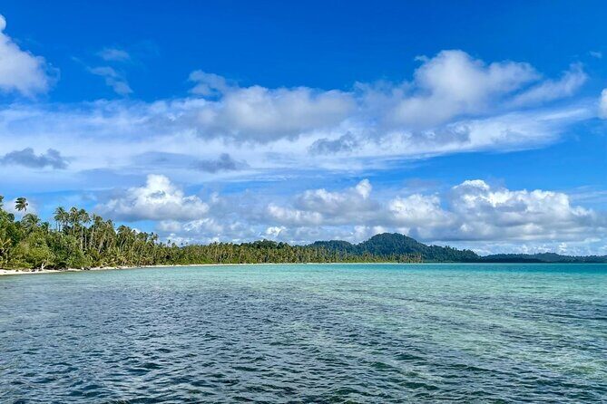 Turtle Tales of Pulau Banyak - Who Should Consider This Tour?