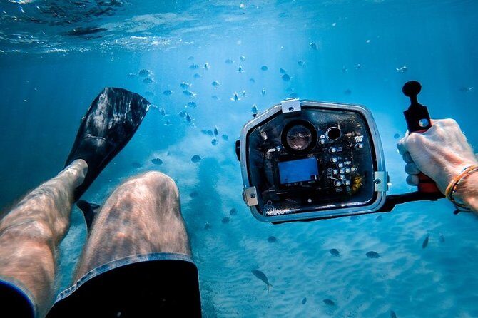 Turtle Town Snorkel with Photo and Video - Why We Love This Maui Snorkeling Experience