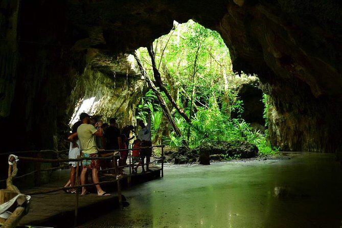 Turtles and Cenote from Riviera Maya - FAQs