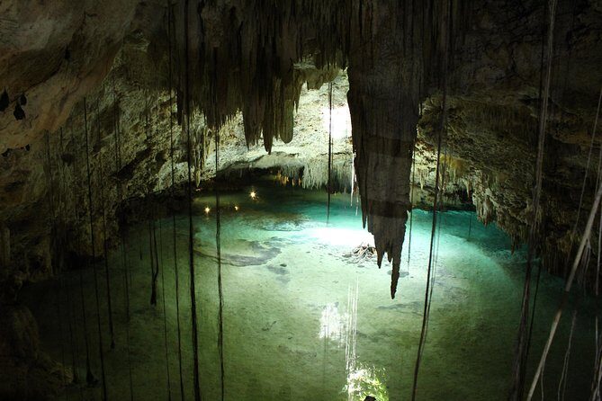 Turtles and Cenote snorkeling activity from Riviera Maya - FAQ