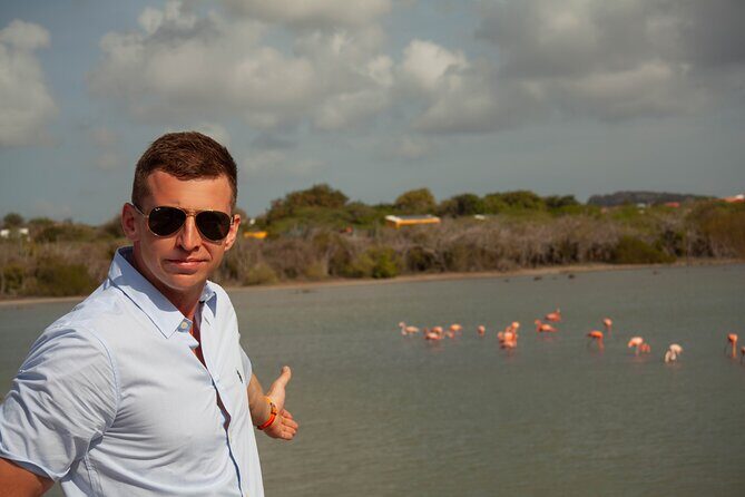 Turtles, Beach and Flamingo in Curacao Private photoshoot Tour - Who Will Enjoy This Tour?