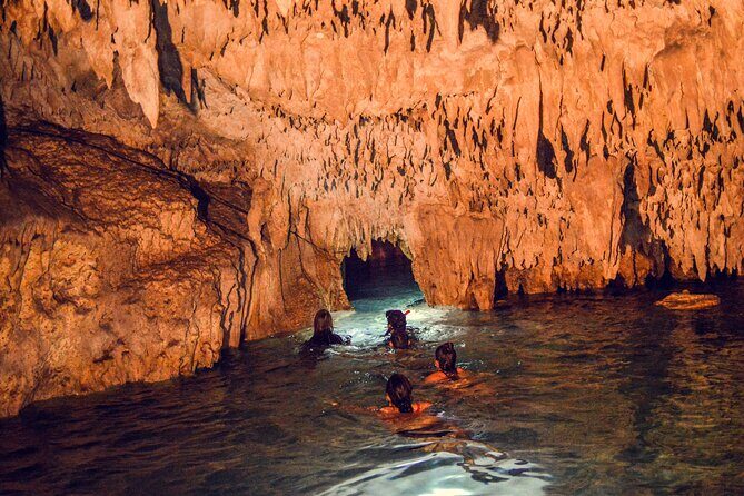 Turtles & Cenote! Half Day from Riviera Maya & Playa del Carmen - Frequently Asked Questions