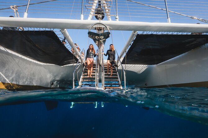 Turtles & Tacos Luxury Catamaran Snorkel - Frequently Asked Questions