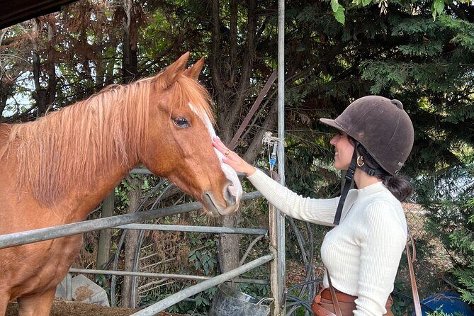 Tuscan Chianti Hills Horseback Riding Tour - Key Points