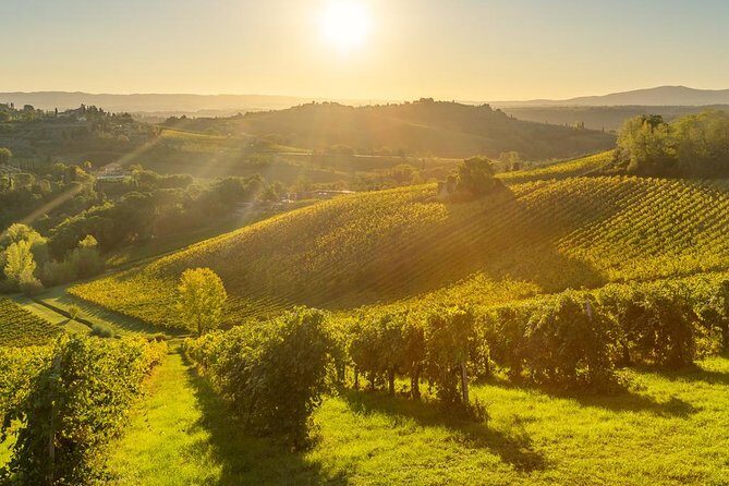 Tuscan Chianti Hills Horseback Riding Tour - Value for Money: Is It Worth It?