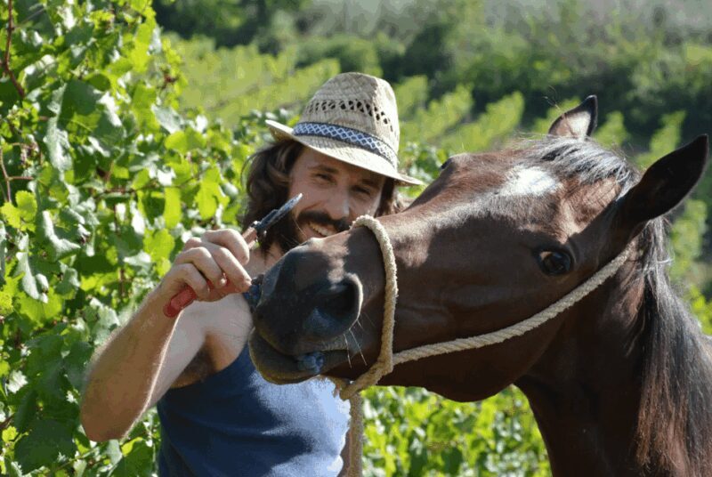 Tuscan Cooking Class & Winery Tour in San Gimignano - Value and Practicality