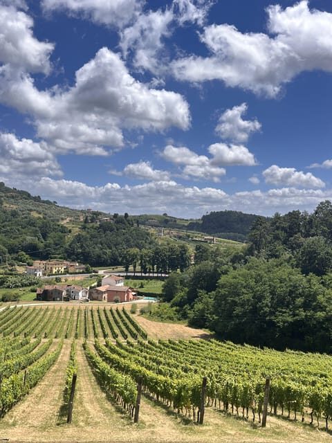 Tuscan Wine Tour by van from Lucca - The Itinerary in Detail