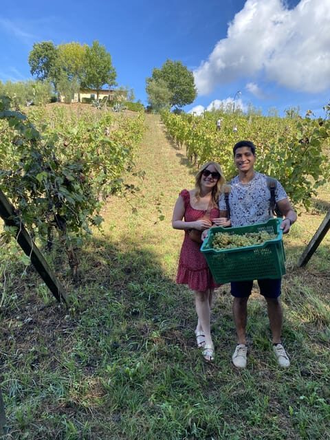Tuscan Wine Tour by van from Lucca - Transportation and Group Size