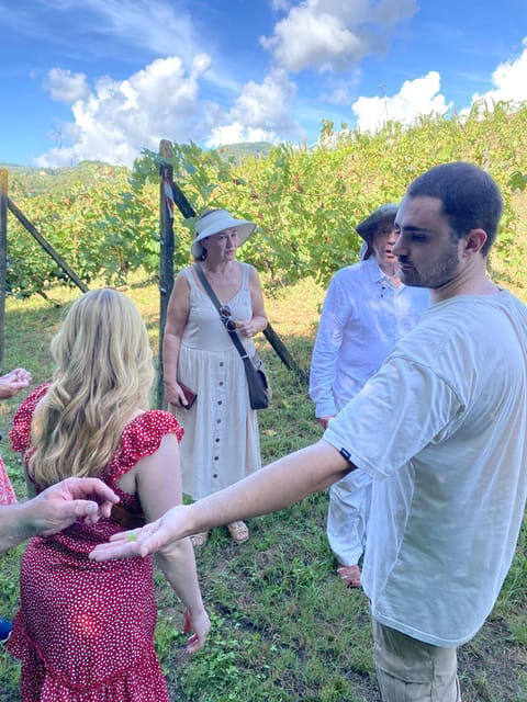Tuscan Wine Tour by van from Lucca - Pricing and Value