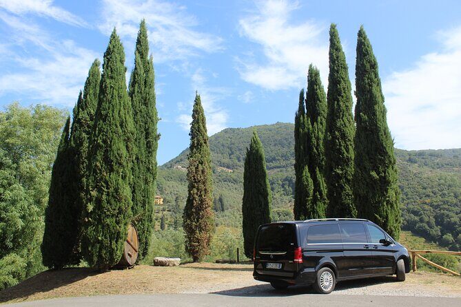 Tuscan Wine Tour in Pisa by van - An Inside Look at the Itinerary