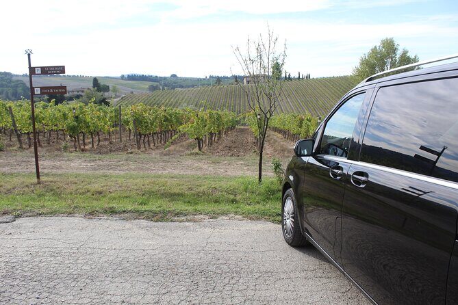 Tuscan Wine Tour in Pisa by van - Who Should Consider This Tour?
