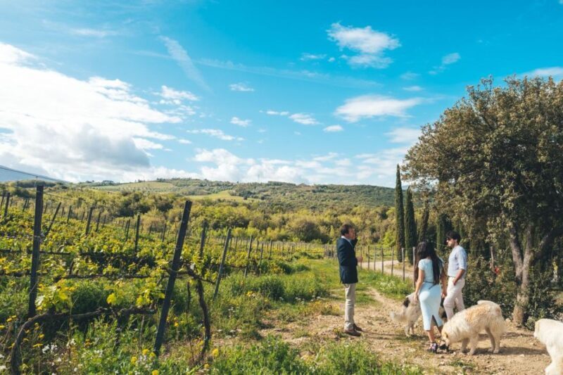 Tuscany: 3 days as a Winemaker in Wine Resort with pool - Who Will Love This Tour?
