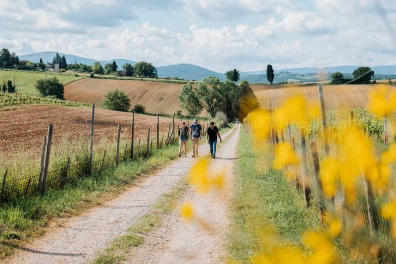 Tuscany: Agro Trekking with Wine and Olive Oil Tasting - FAQ