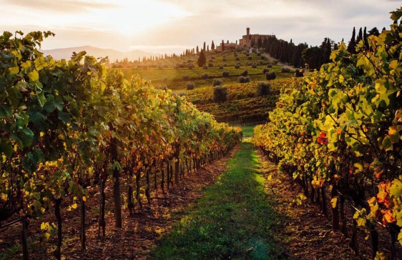 Tuscany & Assisi Small Group Day Trip from Rome with Wine - Final Thoughts