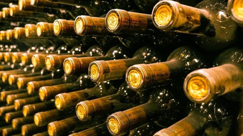 Tuscany: Chianti Wine Paradise Tour - Final Thoughts on the Chianti Wine Paradise Tour