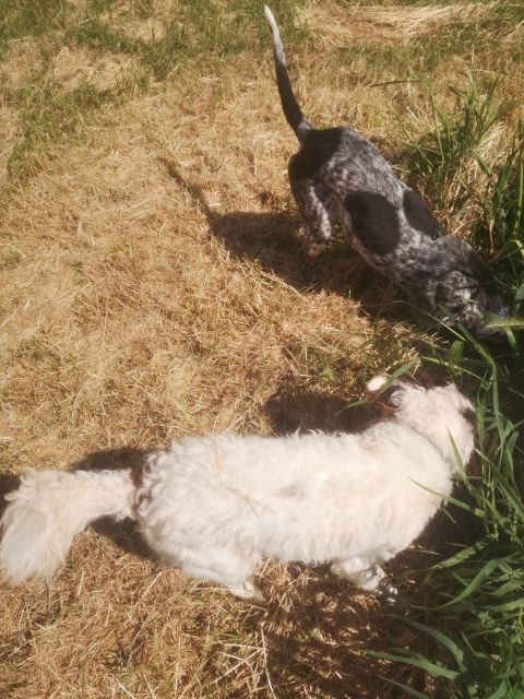 Tuscany Crete Senesi : Truffle Hunting Tour - Introduction