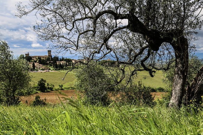 Tuscany E-Bike Tour: from Florence to Chianti with lunch and tastings - Who Should Consider This Tour?