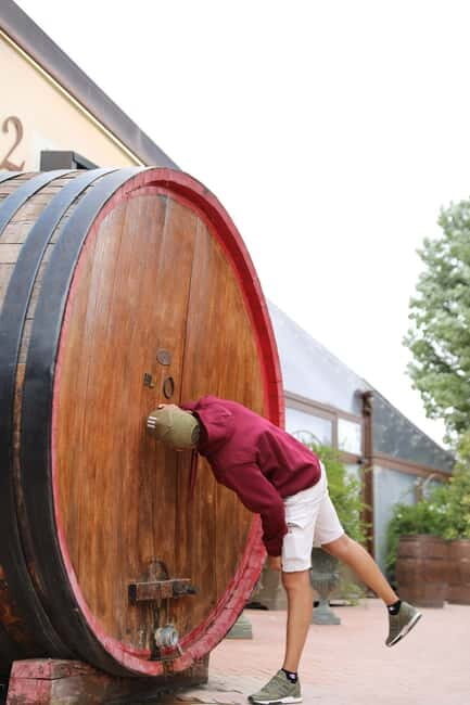 Tuscany Florence day trip with Vinery Lunch from Rome - Who Should Consider This Tour?