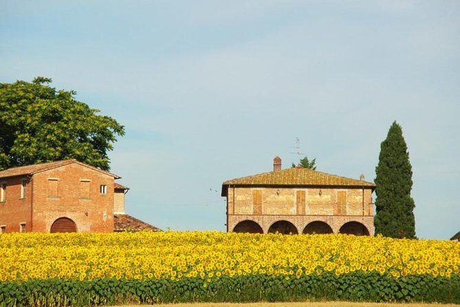 Tuscany from Rome , Montepulciano & Pienza with wine tasting and Lunch included - The Itinerary in Detail