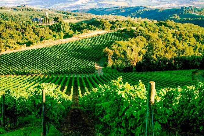 Tuscany from Rome , Montepulciano & Pienza with wine tasting and Lunch included - Reviews and Real Experiences