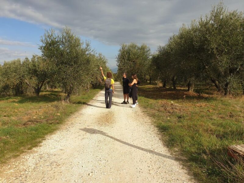 Tuscany Hills Bike Tour with Lunch at farm and Wine Tasting - Is This Tour Right for You?
