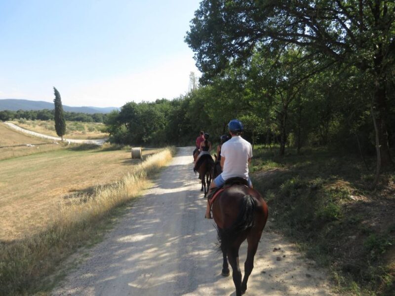 Tuscany: Horseback Riding Adventure with Lunch in a Winery - Exploring Tuscany by Horseback: A Balanced Review
