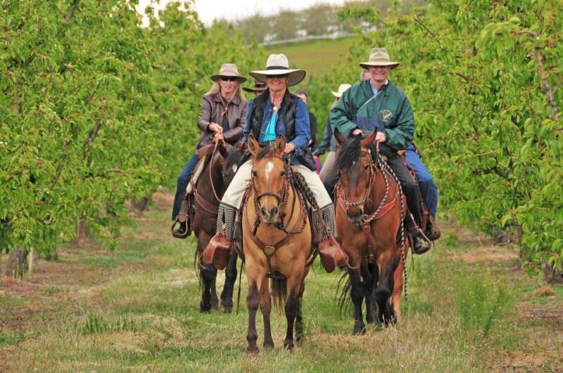 Tuscany: Horseback Riding Adventure with Lunch in a Winery - Practical Notes: What You Need to Know