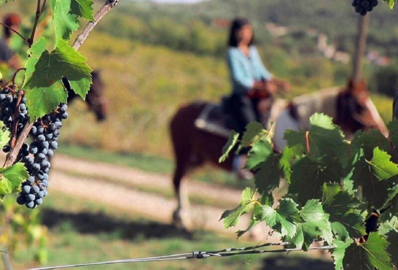 Tuscany: Horseback Riding Adventure with Lunch in a Winery - Final Thoughts