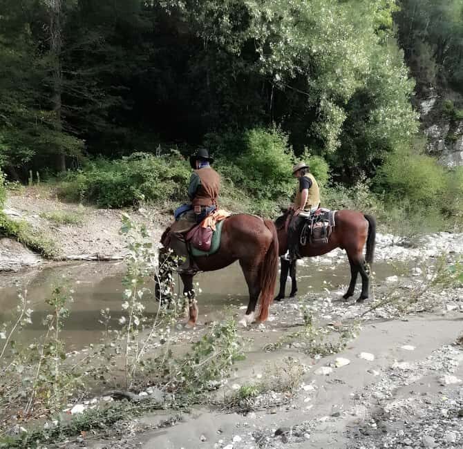 Tuscany: Horseback Riding Experience in Buonconvento - Who Should Consider This Experience