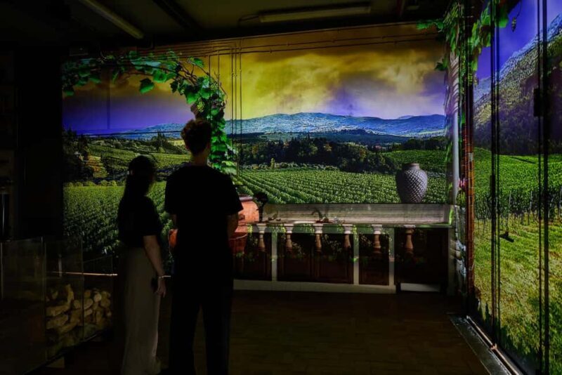 Tuscany: Immersive Winery + tasting (4 wines) - Who Will Love This Tour?