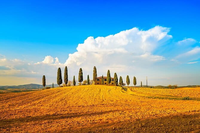 Tuscany Private Tour with Wine and Cheese Tasting from Florence - Discovering Tuscany: A Private Tour with Wine and Cheese Tasting