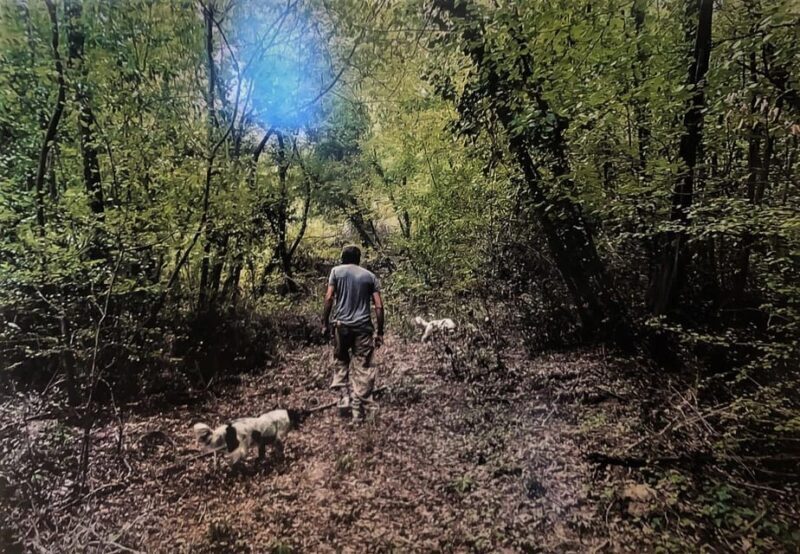 Tuscany: Truffle Hunting Experience with Tasting - Introduction to the Experience