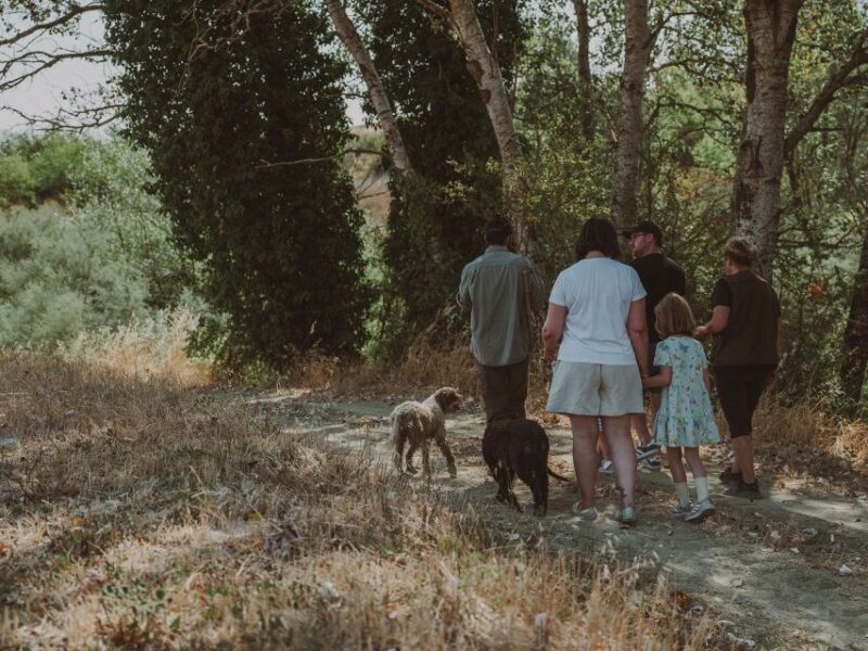 Tuscany: Volterra Truffle Hunting with Lunch or Dinner - Key Points