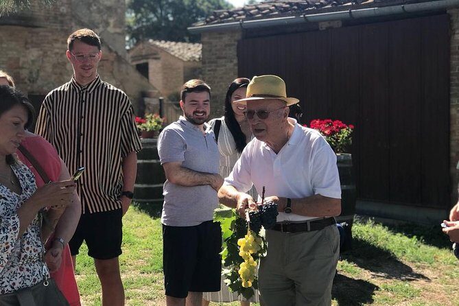 Tuscany Wine & Hills from Florence - Key Points