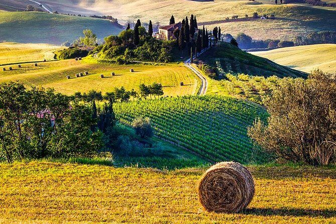 Tuscany Wine & Hills from Florence - Analyzing the Experience